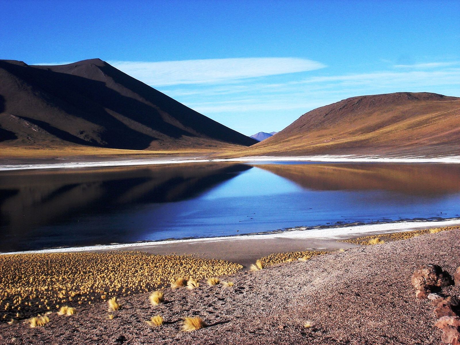Altiplanic Lagoons and Piedras Rojas - SanPedroAtacama.com